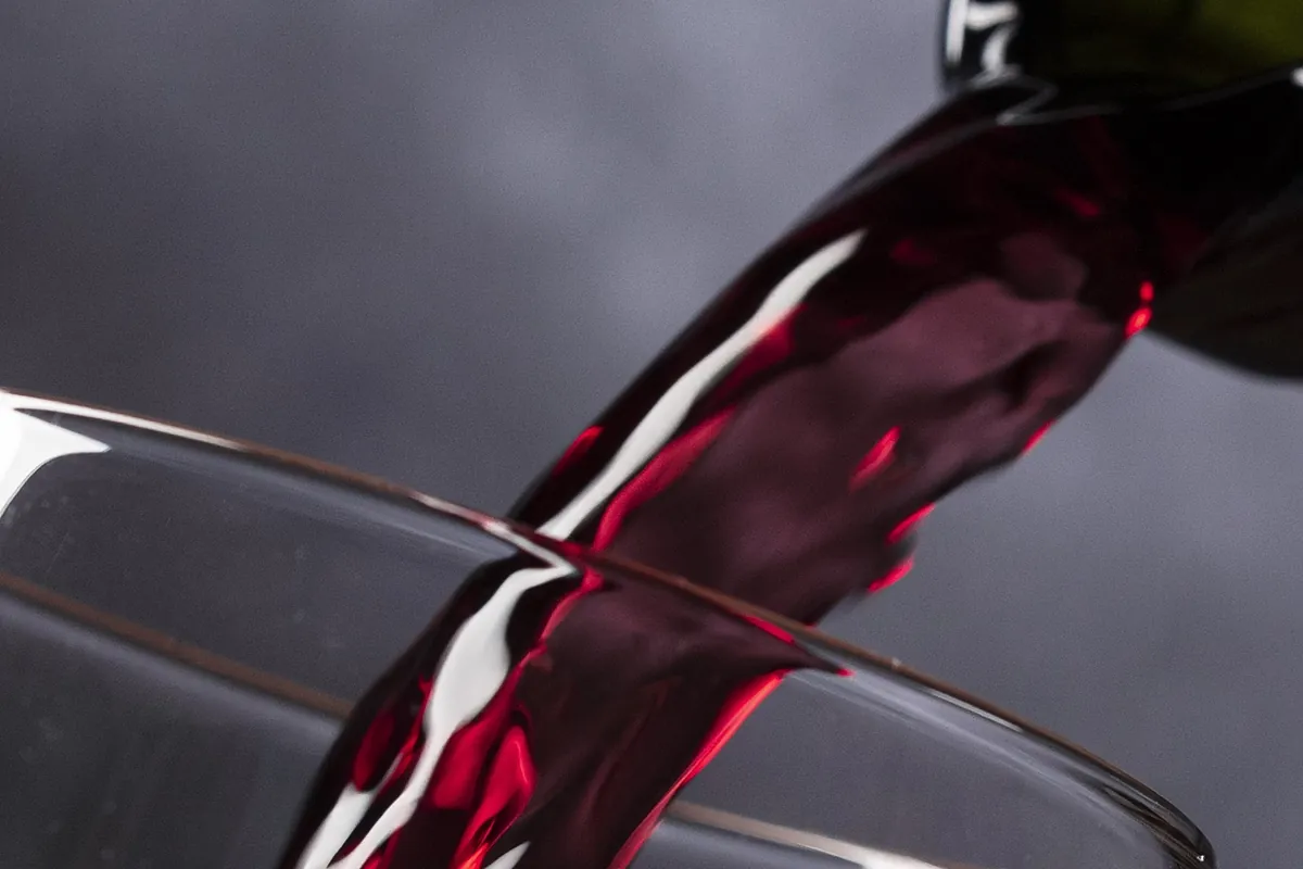 Recomendaciones a la hora de tomar vino | Marca