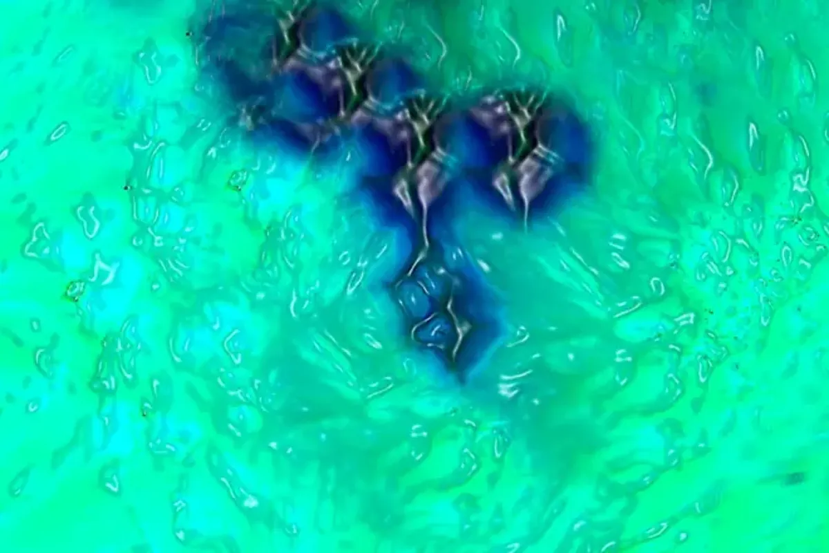 Scientists discover 'Olo', a new color only visible after retinal ...