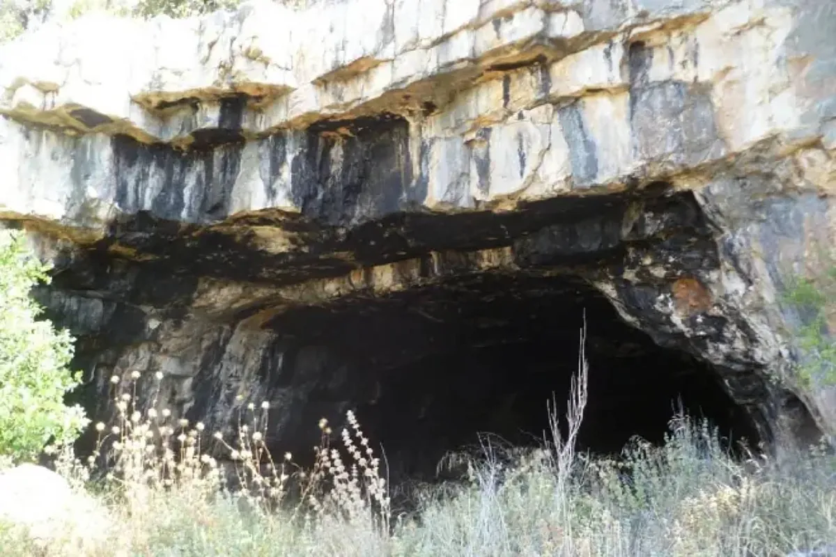 They were exploring a cave and couldn't believe what they found ...
