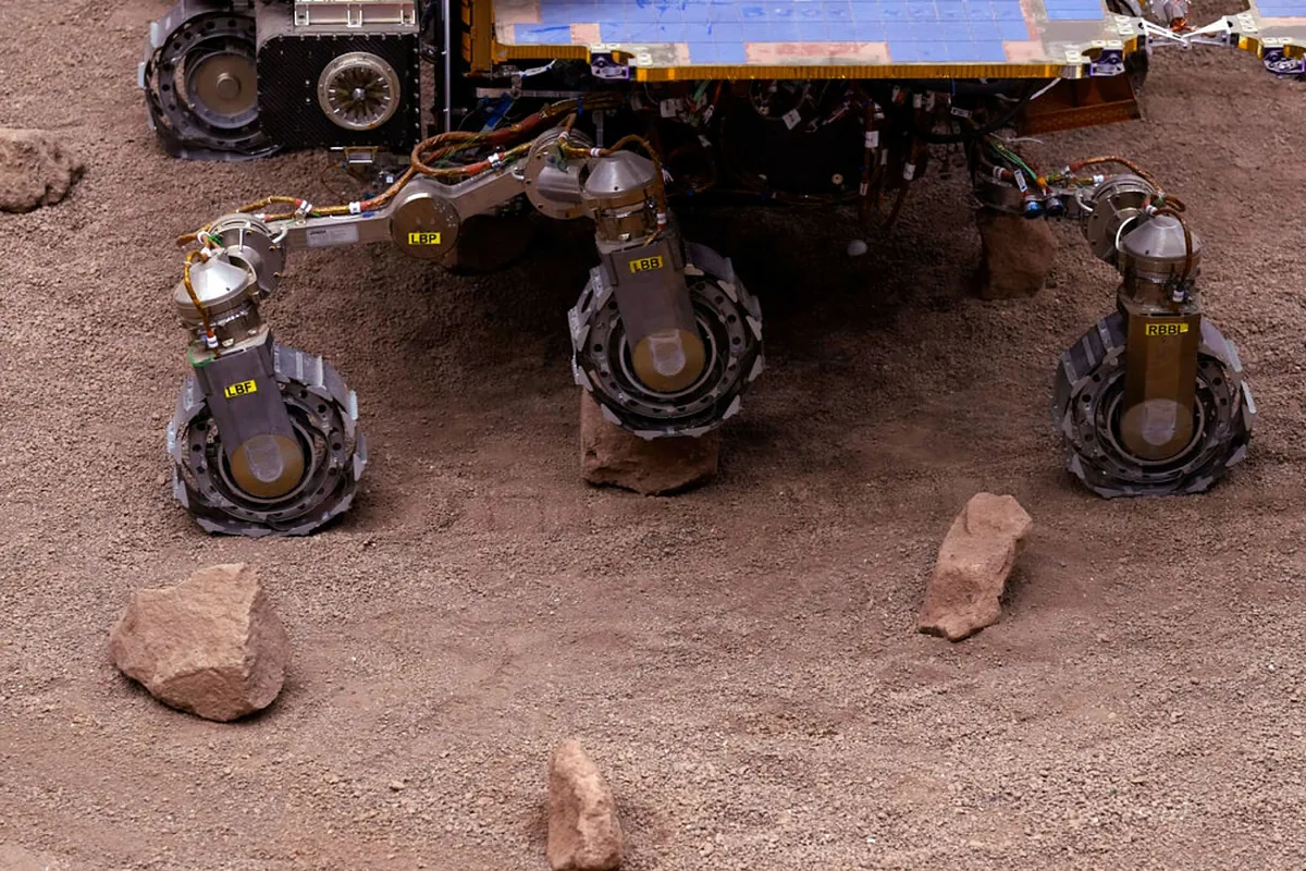 NASA confirms the stunning reality of life on Mars with a video worth ...