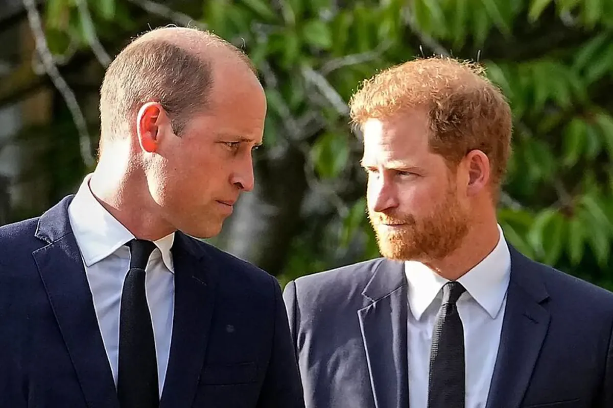 Prince William's latest gesture to make amends with Harry was to no ...