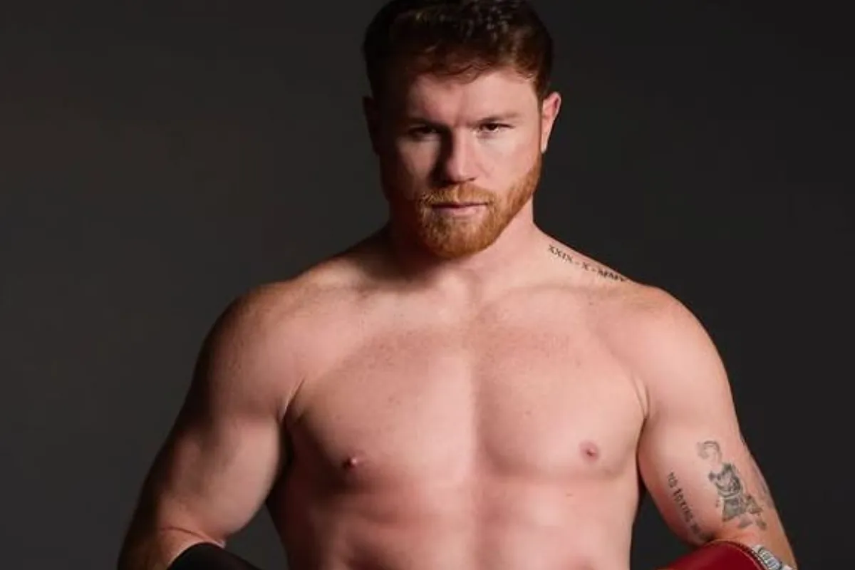 Canelo Alvarez would 'leave' 168-pound reign for one fight: 'I need to ...