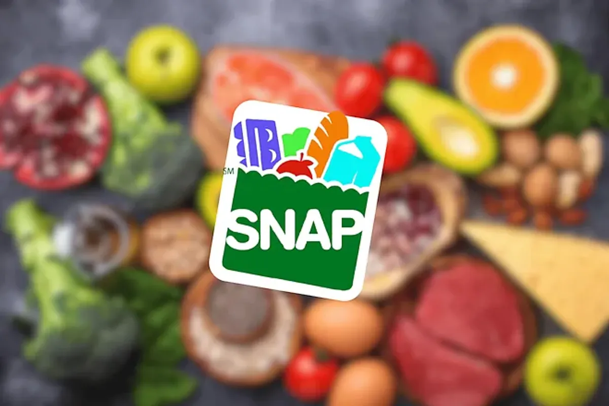SNAP Texas payment schedule: When do you receive your August 2025 food ...