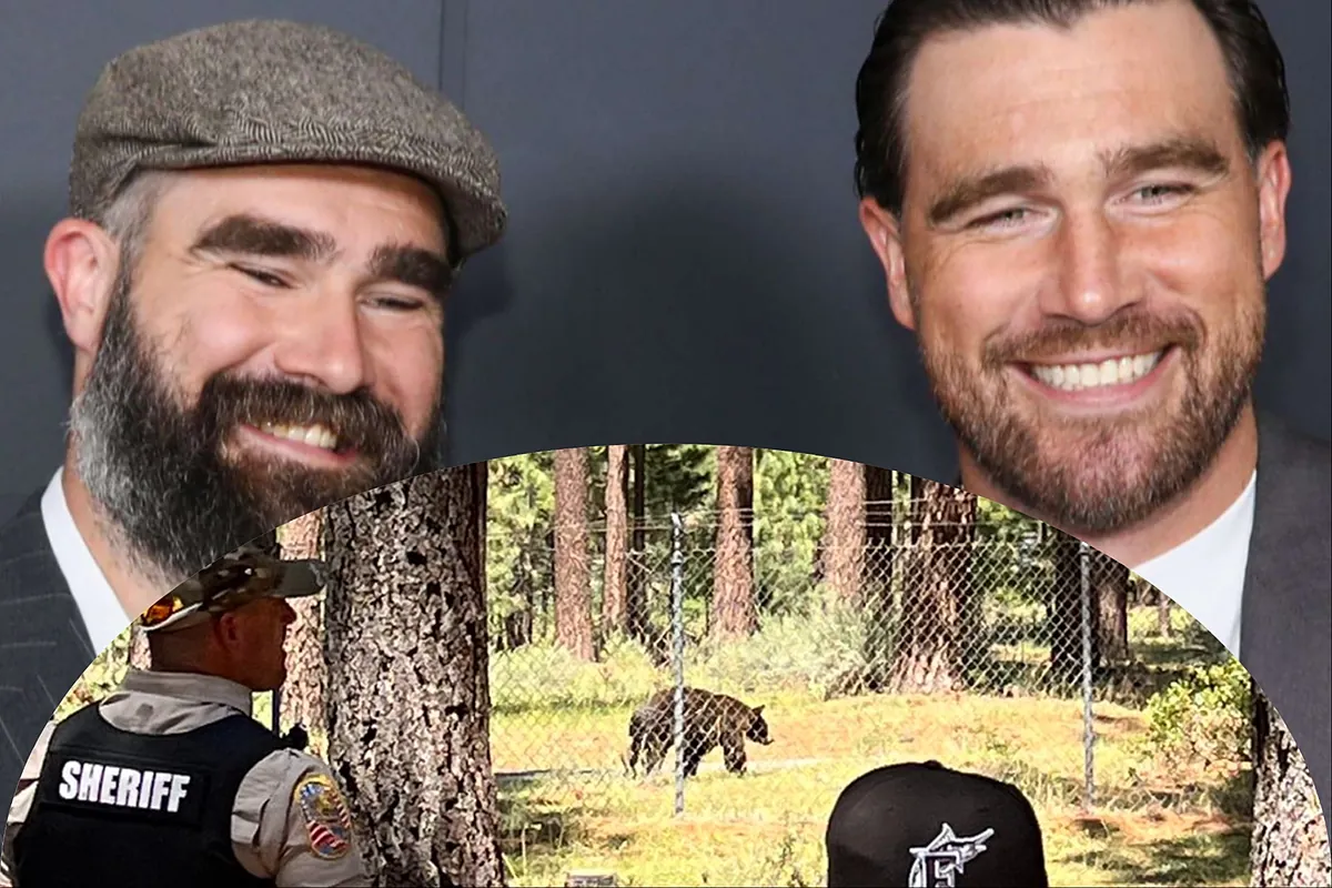 Pictures of beautiful vaginas noticed that BG's had a fresh